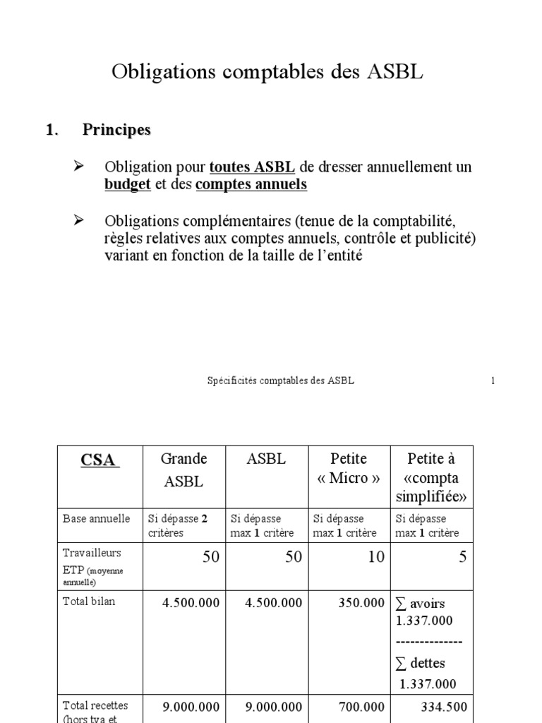 1 Spécificités Obligations Comptables Des ASBL (2022) | PDF | Comptabilité | Budget