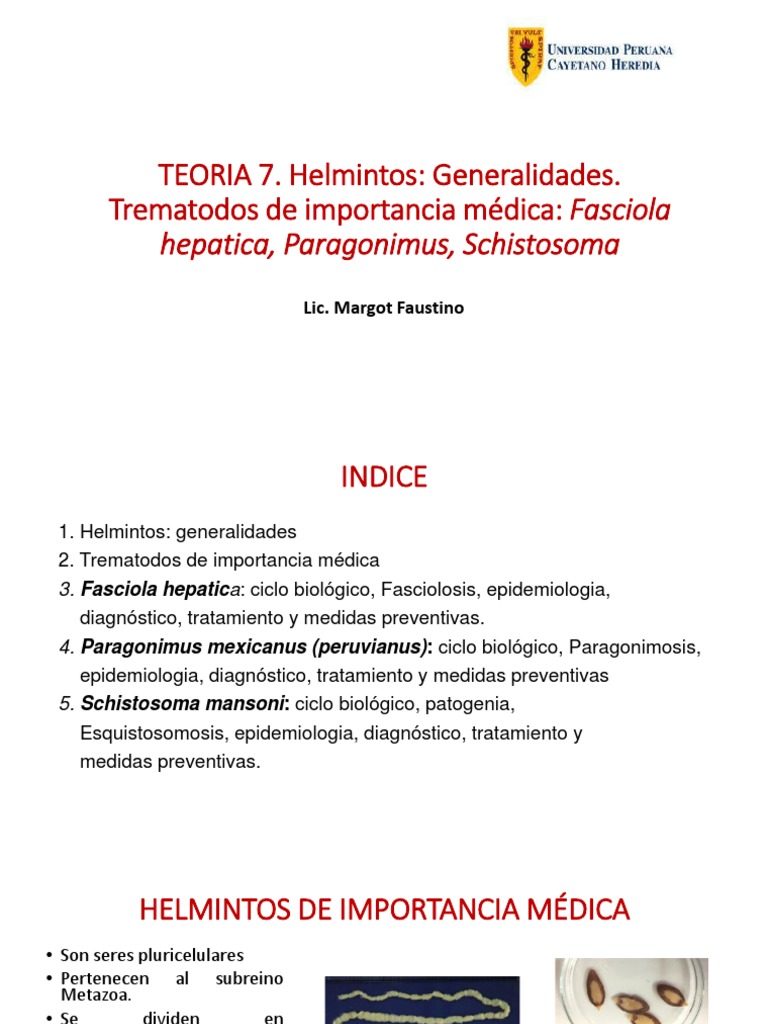Teoria 7. Tremátodos - 2022. | PDF | Especialidades Medicas | Medicina CLINICA