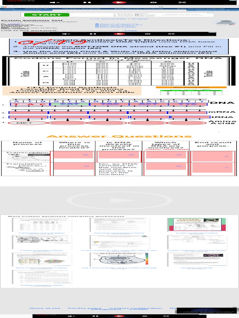 Protein Synthesis Test Worksheet | PDF