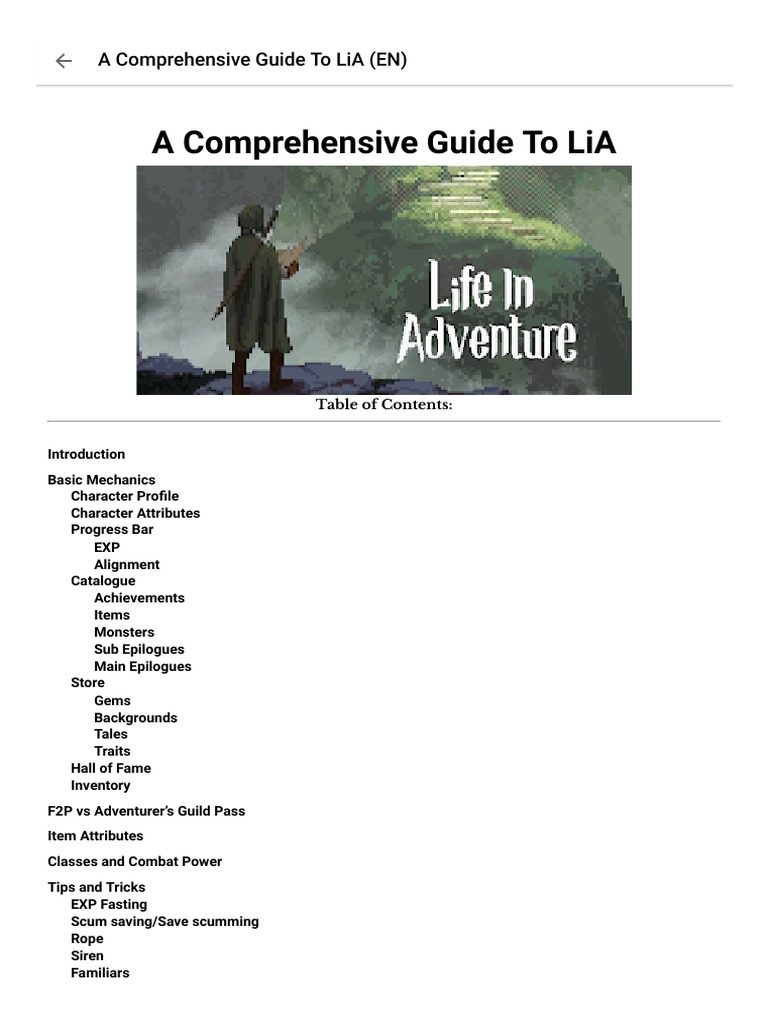 A Comprehensive Guide To LiA (EN) | PDF