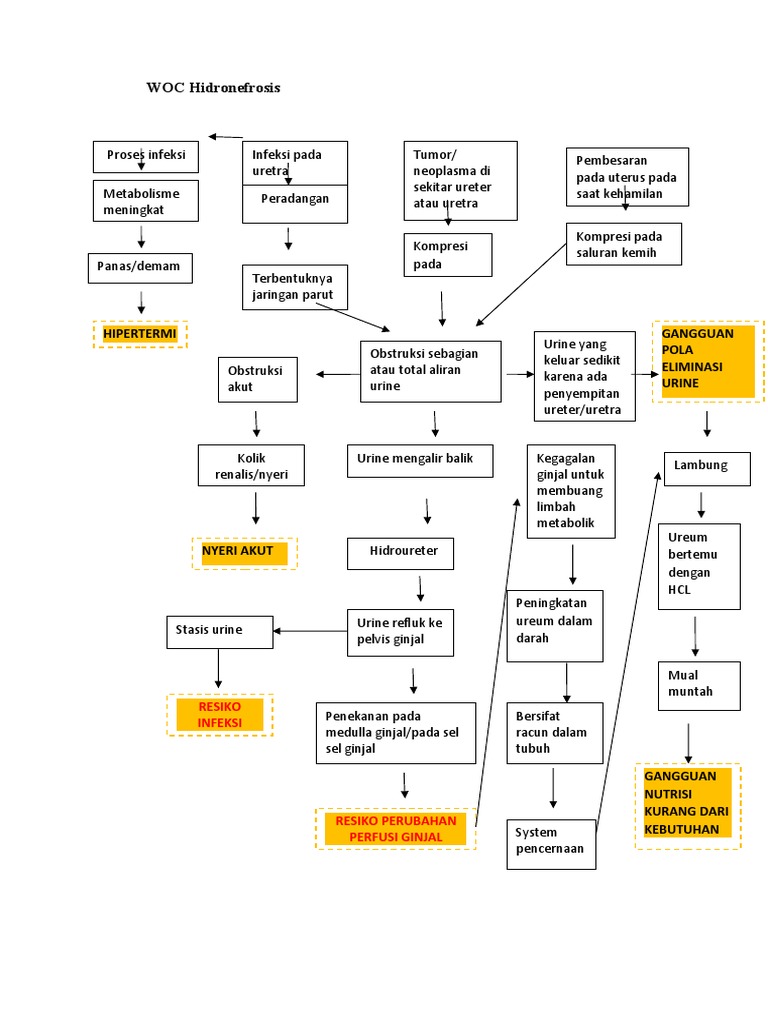 Min-Map Hidronefrosis-3 | PDF