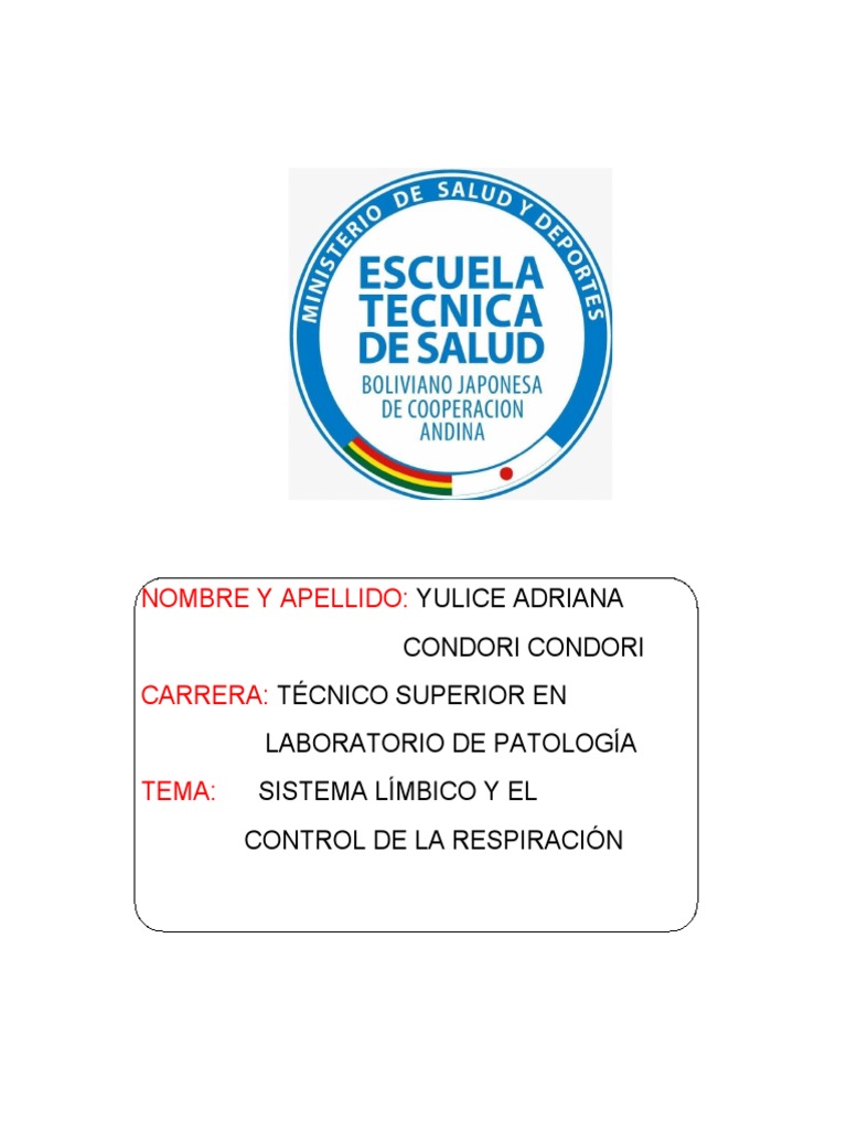 SISTEMA LÍMBICO Y EL CONTROL DE LA RESPIRACIÓN Yulice - Condori | PDF ...