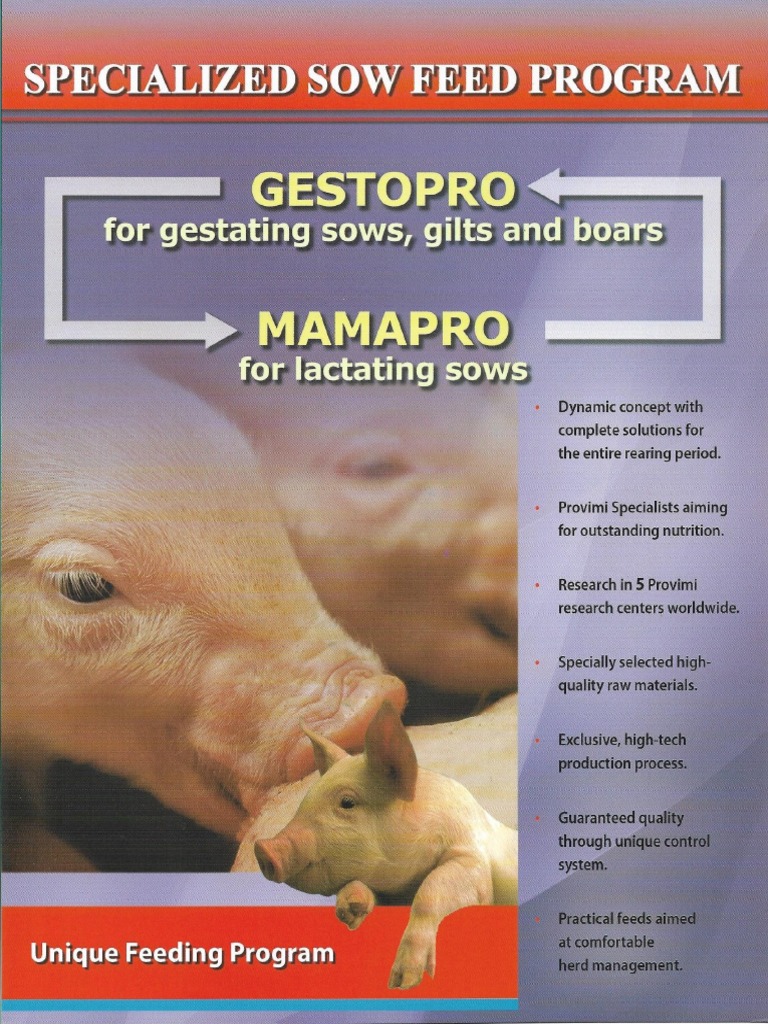 Gestopro and Mamapro Brochures | PDF