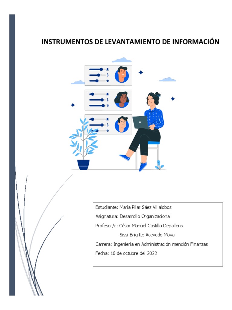 Levantamiento de Información | PDF | Cuestionario
