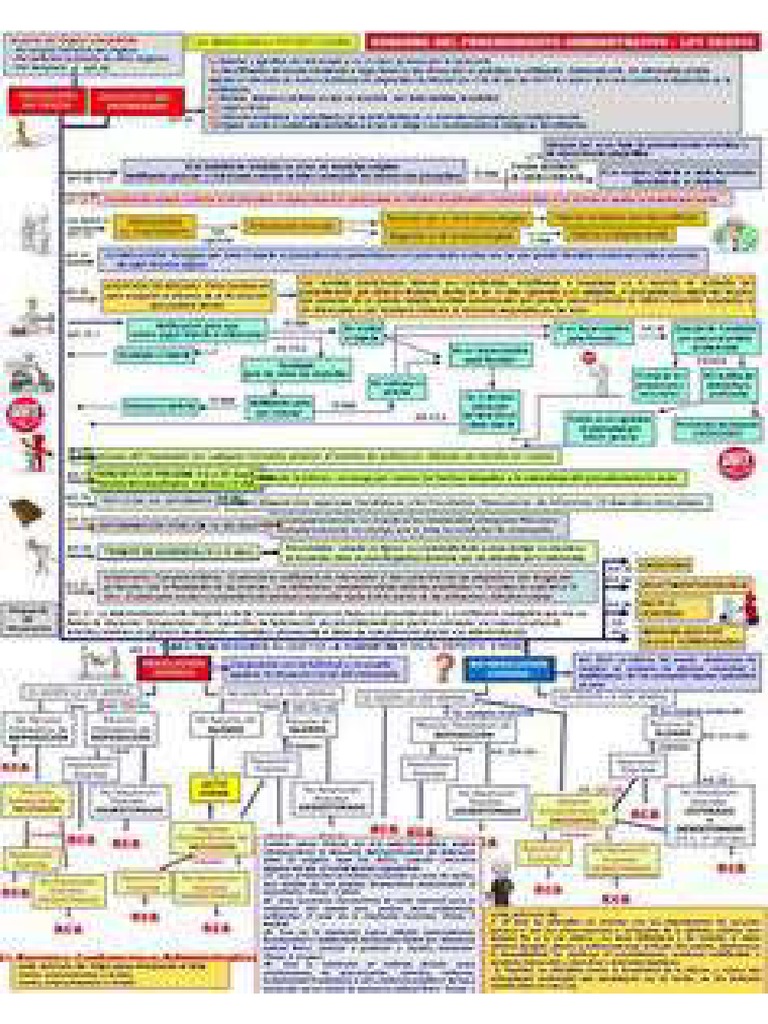 Esquema Constitución 1 Pdf