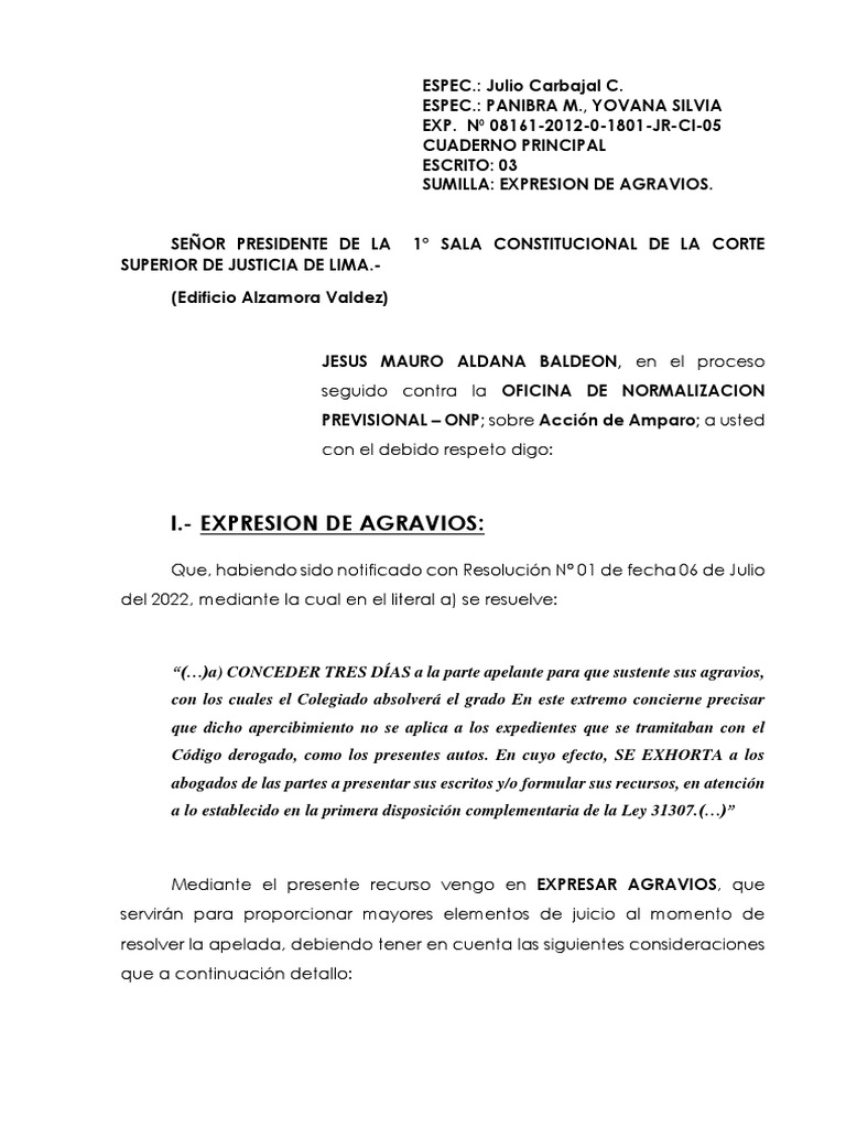 AMPARO - ALdana Valdeon - Expresion de Agravios | PDF | Justicia ...