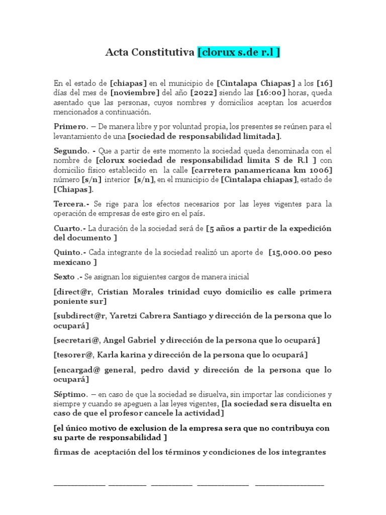 Formato de Acta Constitutiva para Word en Línea | PDF
