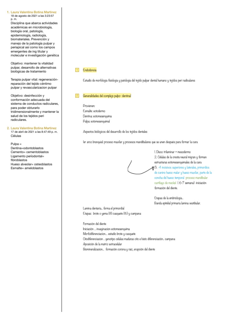 Endodoncia Notas Estudio | PDF | Capilar | Anatomía