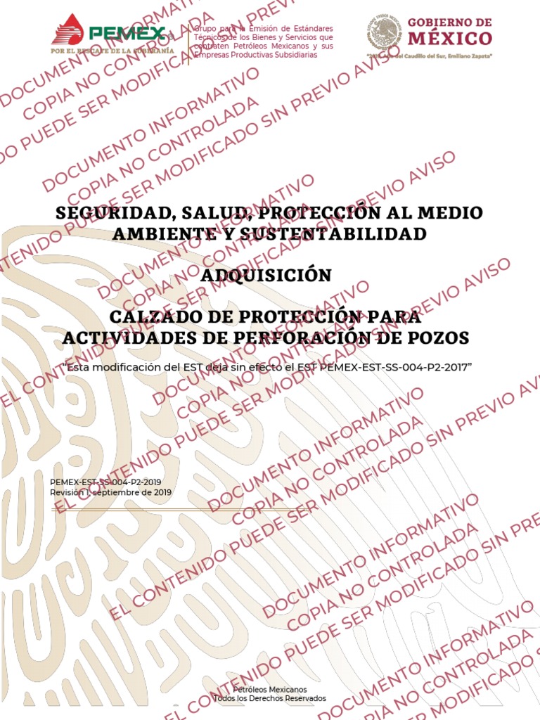 CNC Pemex Est Ss 004 p2 2019 Rev1 | PDF | Gobierno