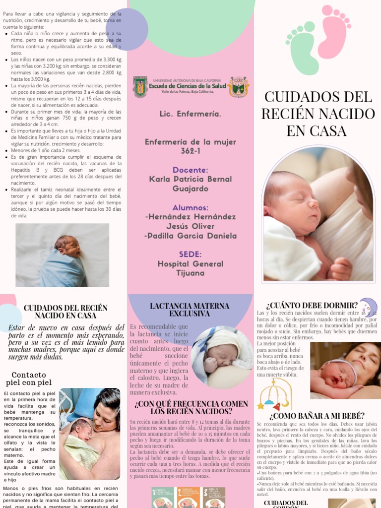 Cuidados Del Recién Nacido Triptico | PDF | Amamantamiento | Infantes