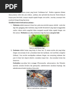 Klasifikasi dan Peran Benthos dalam Ekosistem | PDF