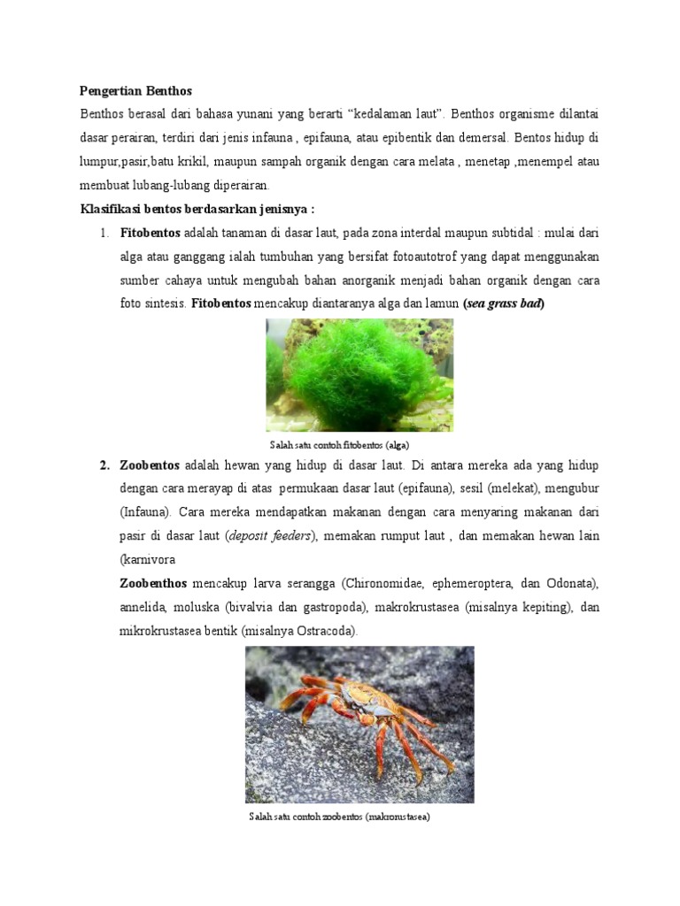 Pengertian Benthos | PDF