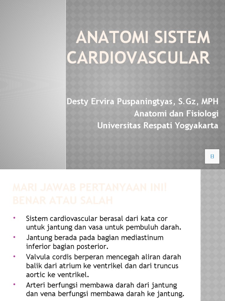 Anatomi Sistem Cardiovascular | PDF