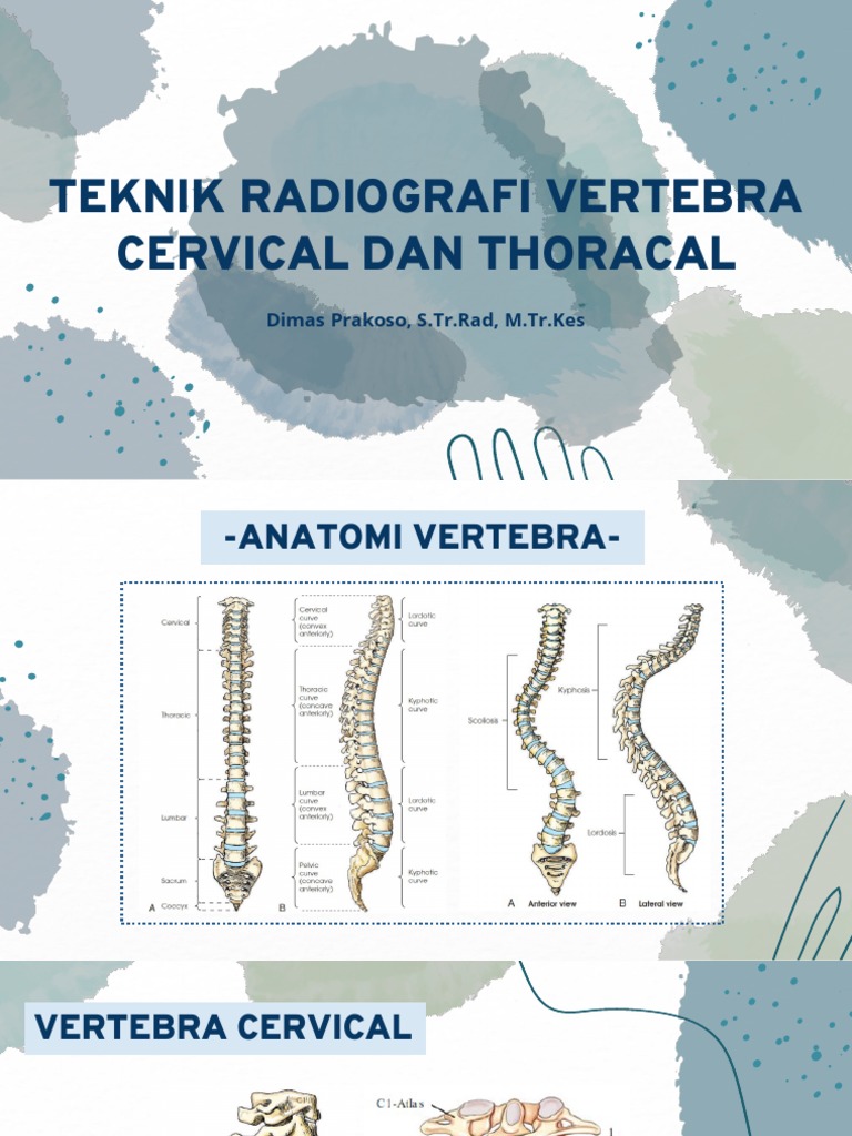 Cervical Thoracal | PDF