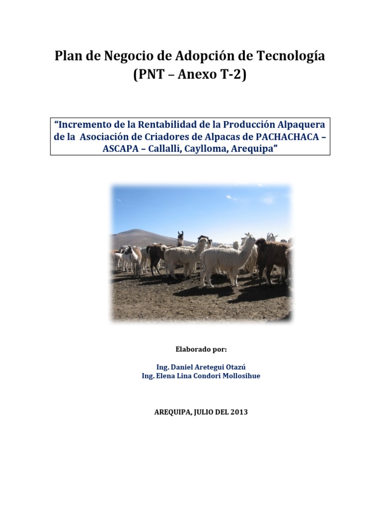 PNT PACHACHACA - Versión Final Correcciones | PDF | Carne | Marketing