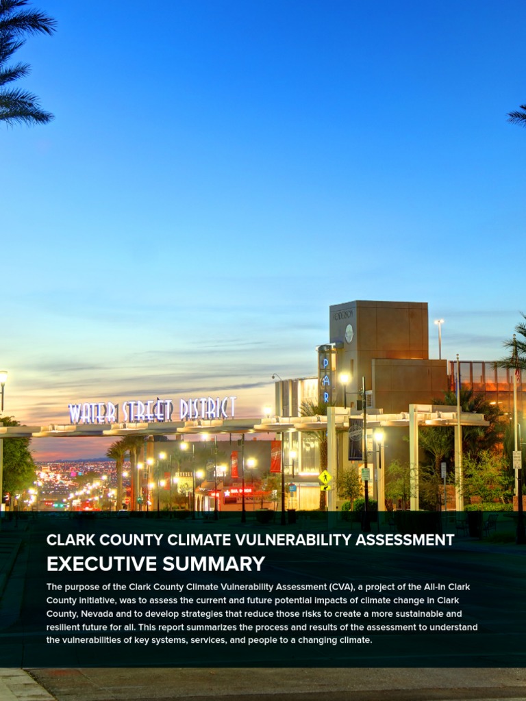 CVA Executive Summary | PDF | Infrastructure | Vulnerability