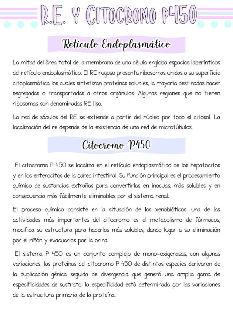 Metabolismo y Función del Citocromo P450 | PDF | Citocromo P450 | Metabolismo de drogas