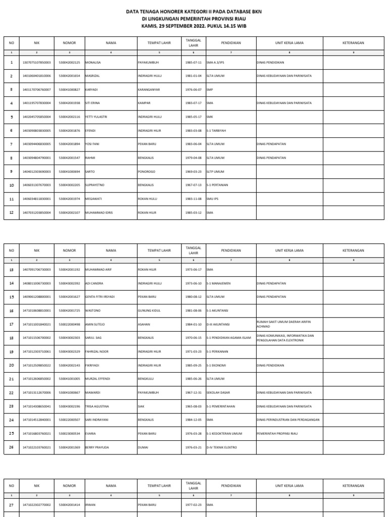 Data Tenaga Honorer Riau | PDF