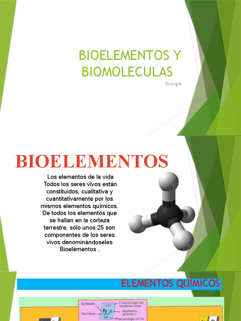 Bioelementos y Biomoleculas | PDF | Carbohidratos | Vitamina
