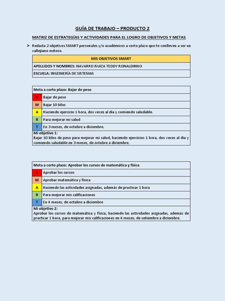 Matriz de Objetivos Smart | PDF