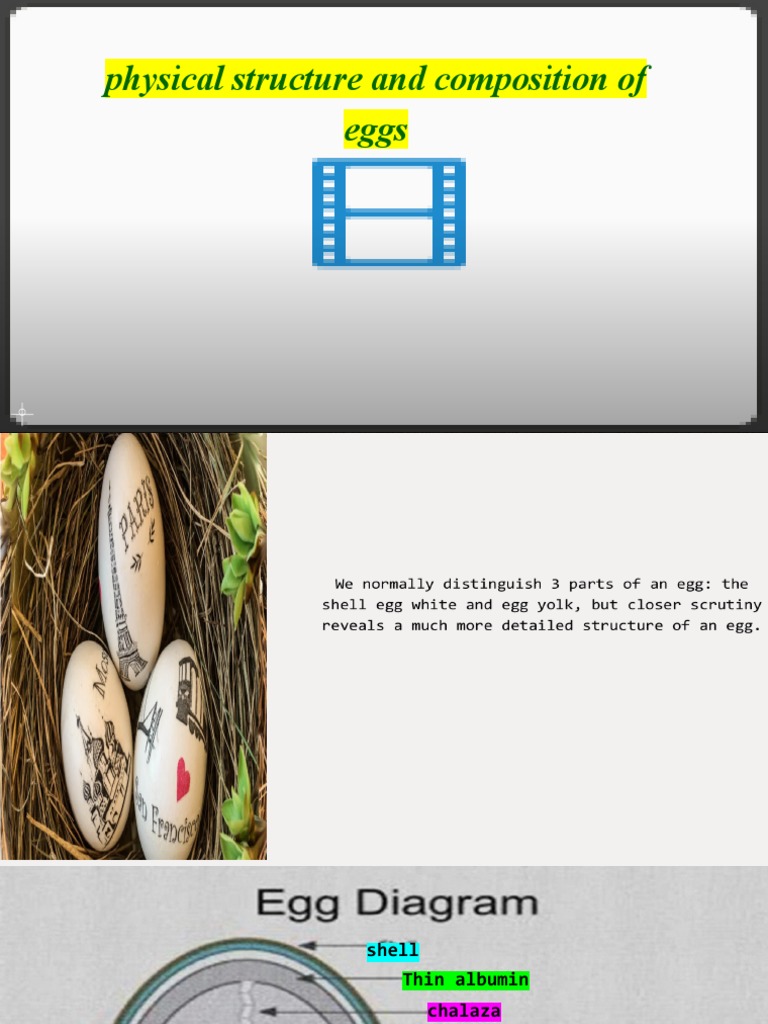 Physical Structure and Composition of Eggs | PDF | Cooking, Food & Wine | Wellness