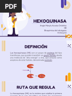 Función y Estructura de la Hexoquinasa | PDF | Enzima | Fosforilación