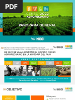 Censo Agrop 2024 Resultados Preliminares | PDF | Agricultura