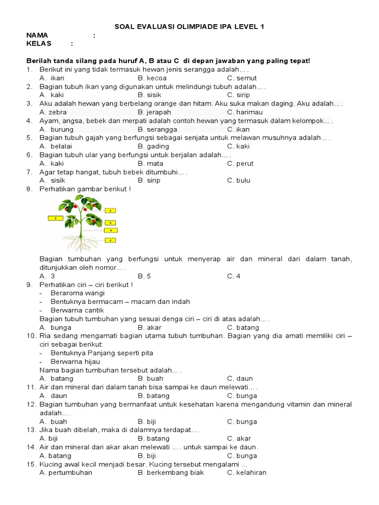 Soal Olimpiade Ipa Level 1 | PDF