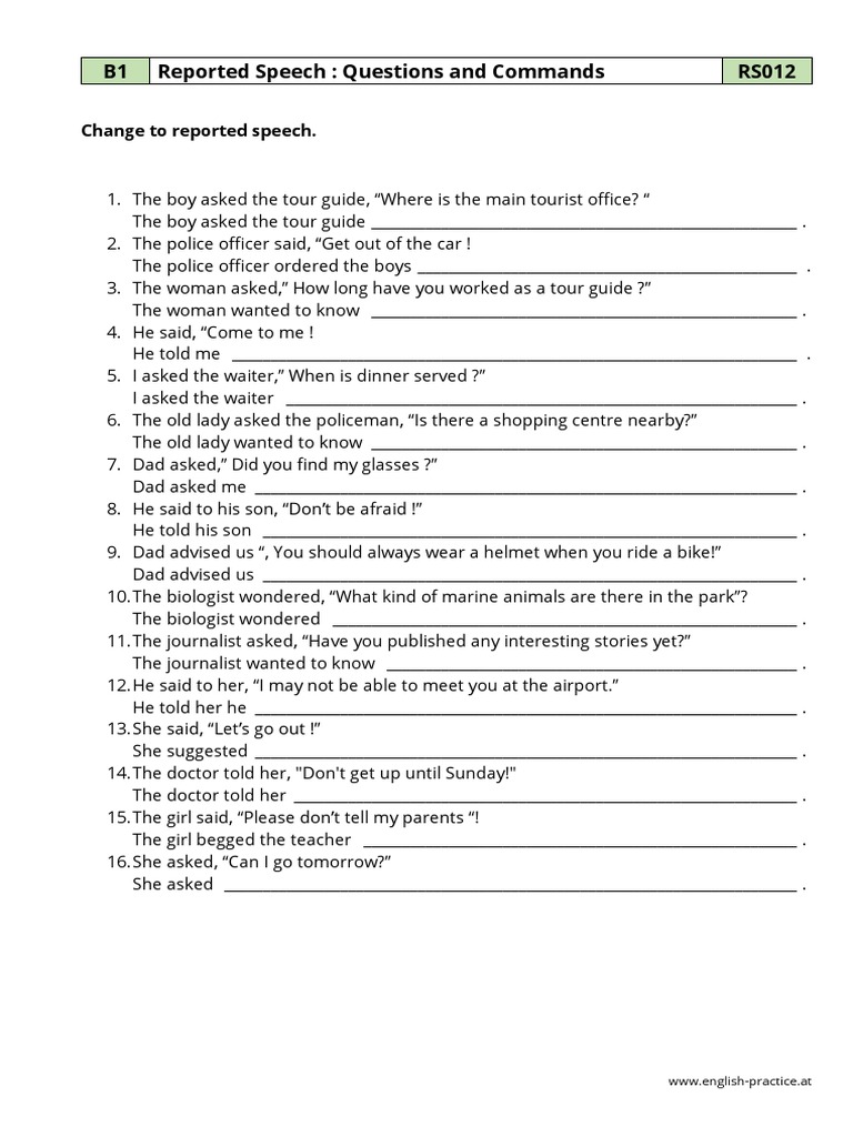 rs012 Reported Questions and Commands | PDF