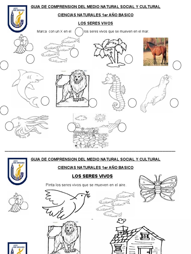 GUIA Seres Vivos 1° Basico | PDF