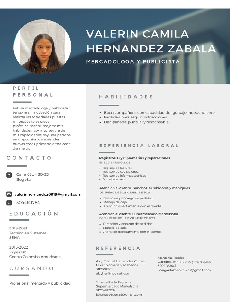 Moderno Profesional Hoja de Vida | PDF