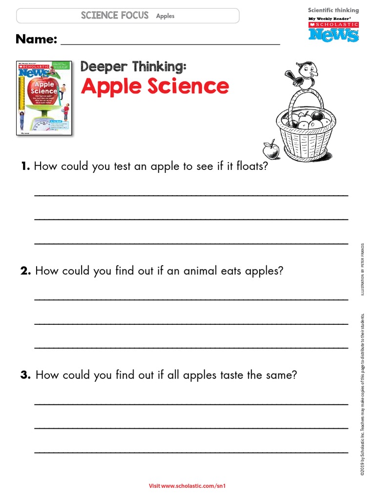 SN1 090119 Apples SKILL Thinking | PDF