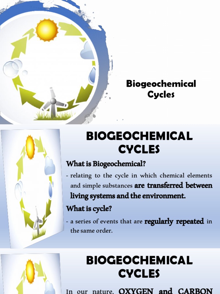 Biogeochemical Cycles | PDF