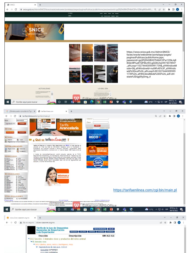 Fraccion Arancelaria. Ligie. Snice. Tigie. | PDF
