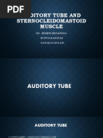 Exercises For Eustachian Tube Dysfunction | PDF | Mucus | Human Head ...