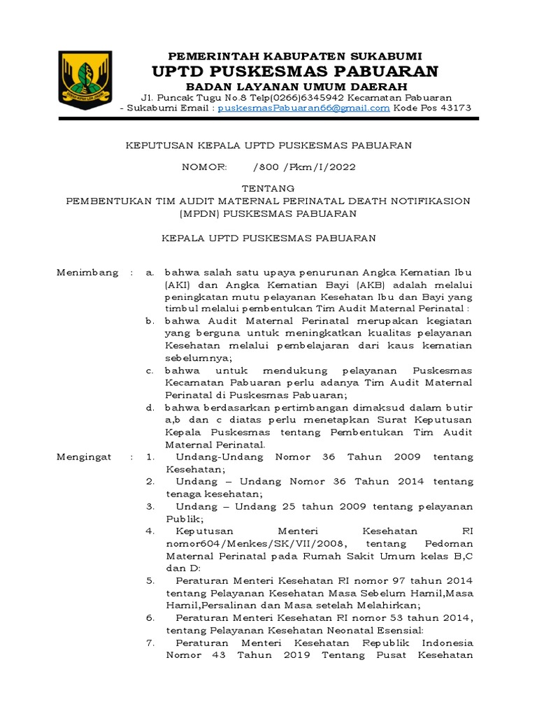 SK Tim Audit Maternal Perinatal Death Notifikasion | PDF