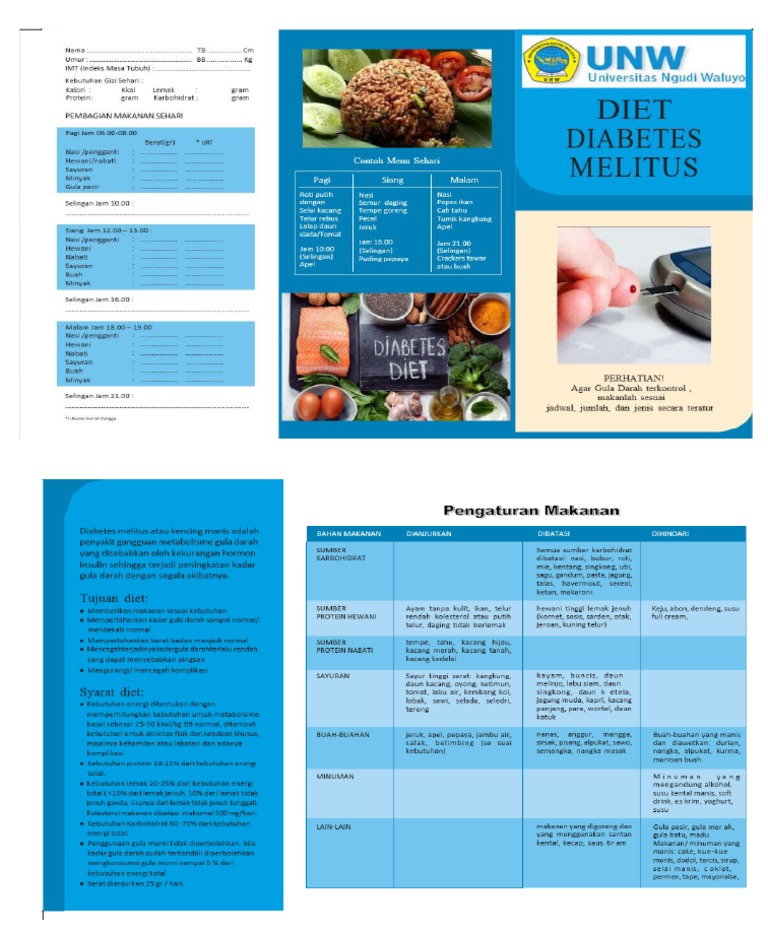 Leaflet Diet DM | PDF