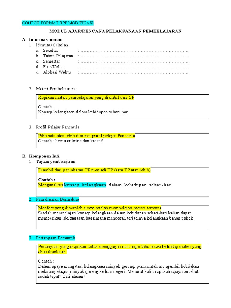 Contoh Format RPP Modifikasi | PDF