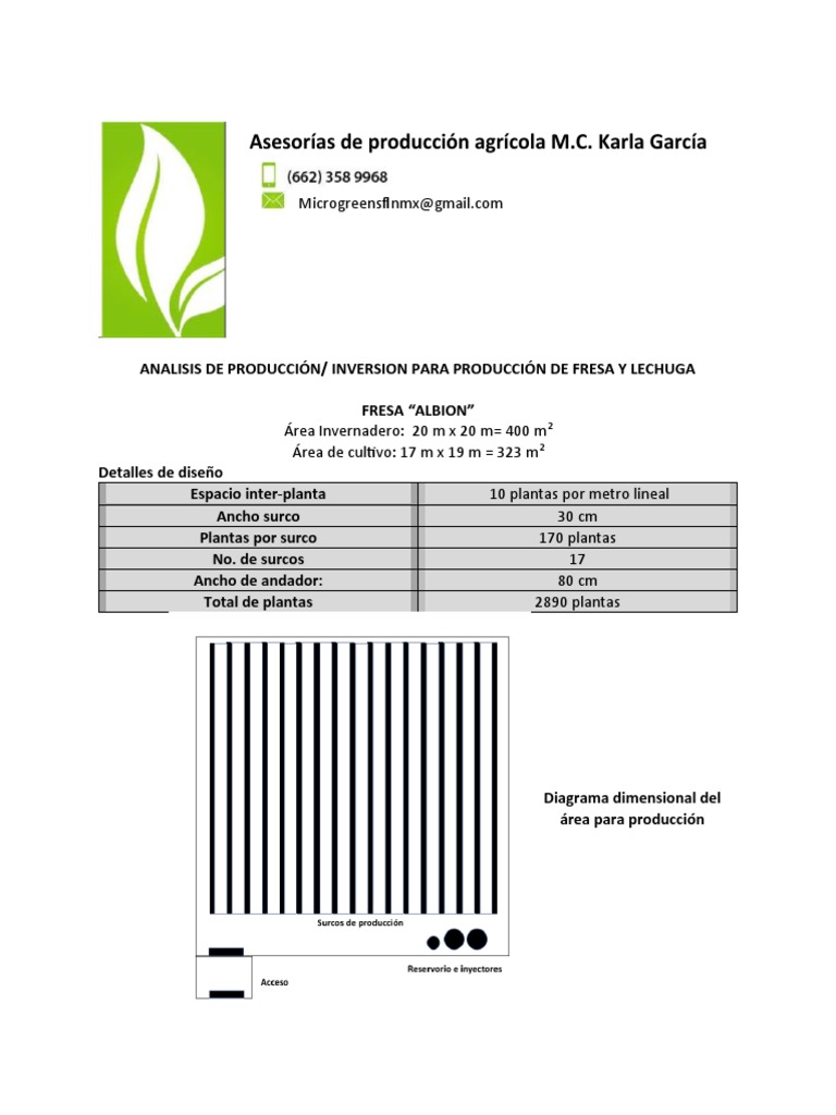 Proyecto FRESA - LECHUGA | PDF | Agricultura | Horticultura