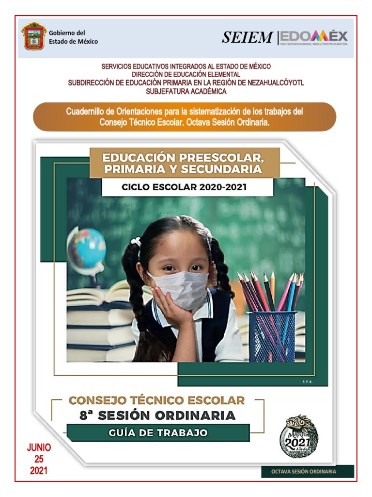 Cuadernillo de Orientaciones Octava Sesión Ordinaria CTE Final | PDF | Las emociones | Aprendizaje