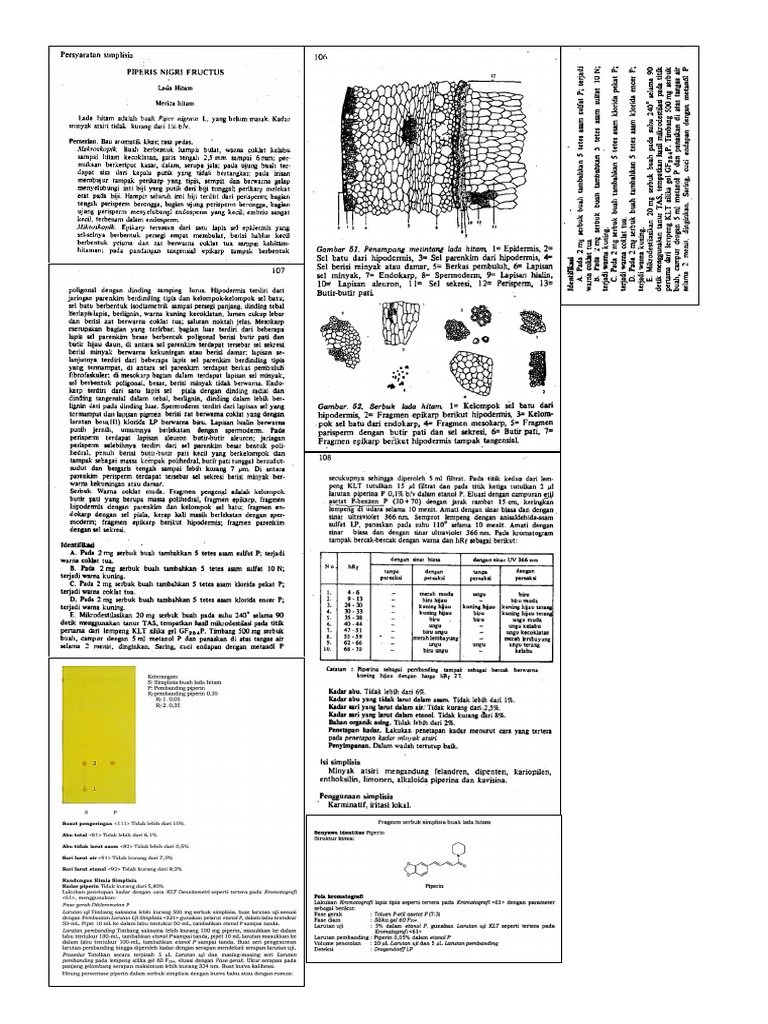 Piperis Nigri Fructus | PDF