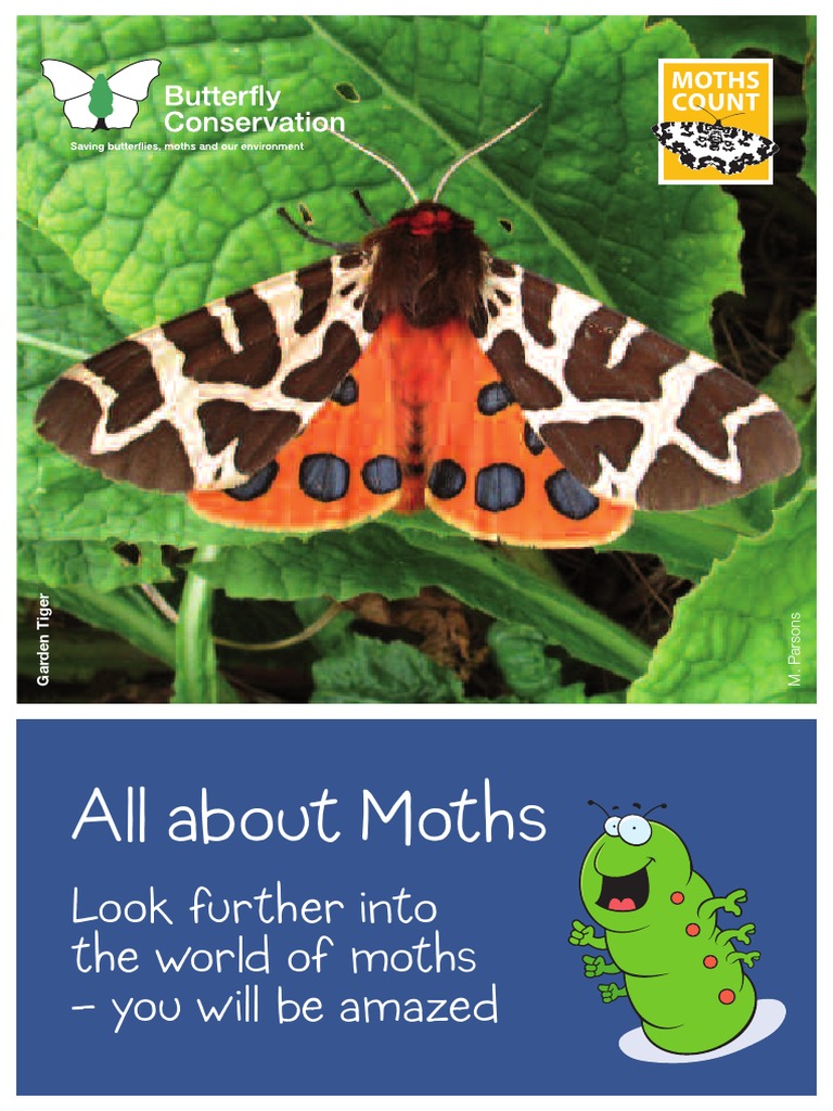 Moth Enthusiast's Guide | PDF | Lepidoptera | Pupa
