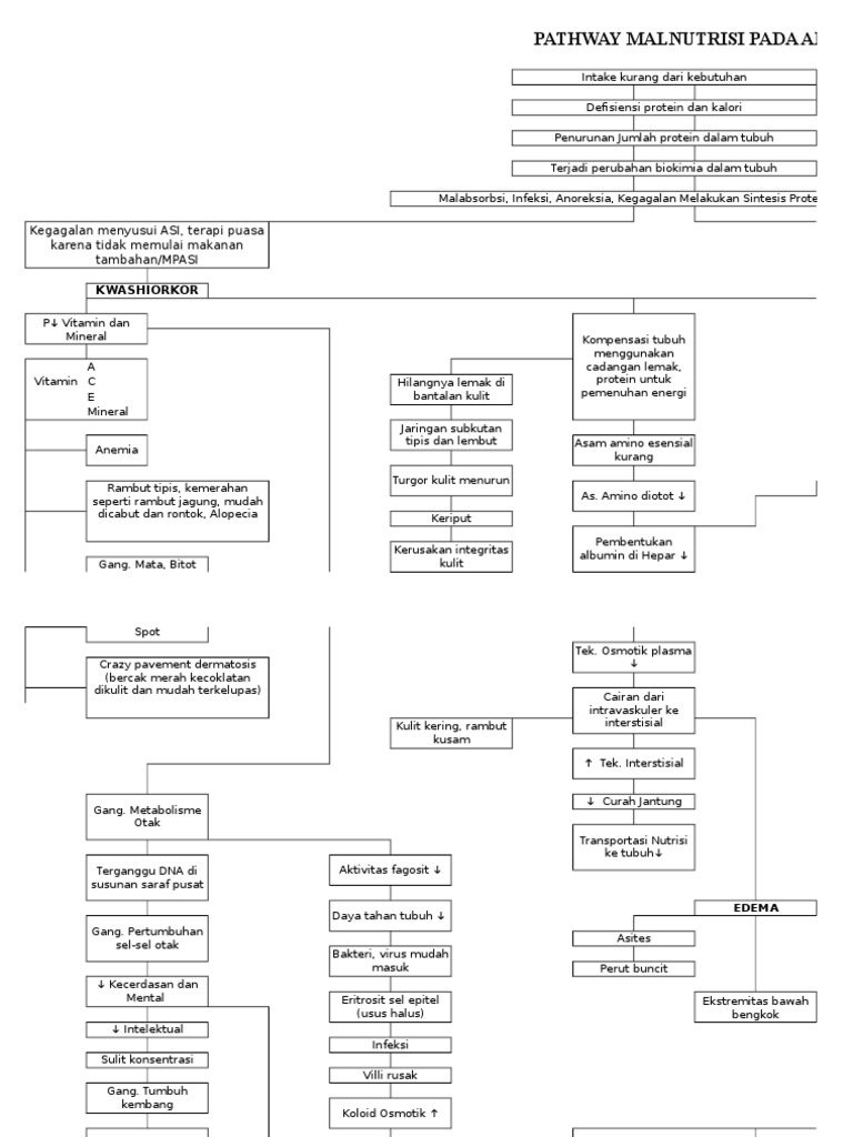 Pathway Kwashiorkor | PDF