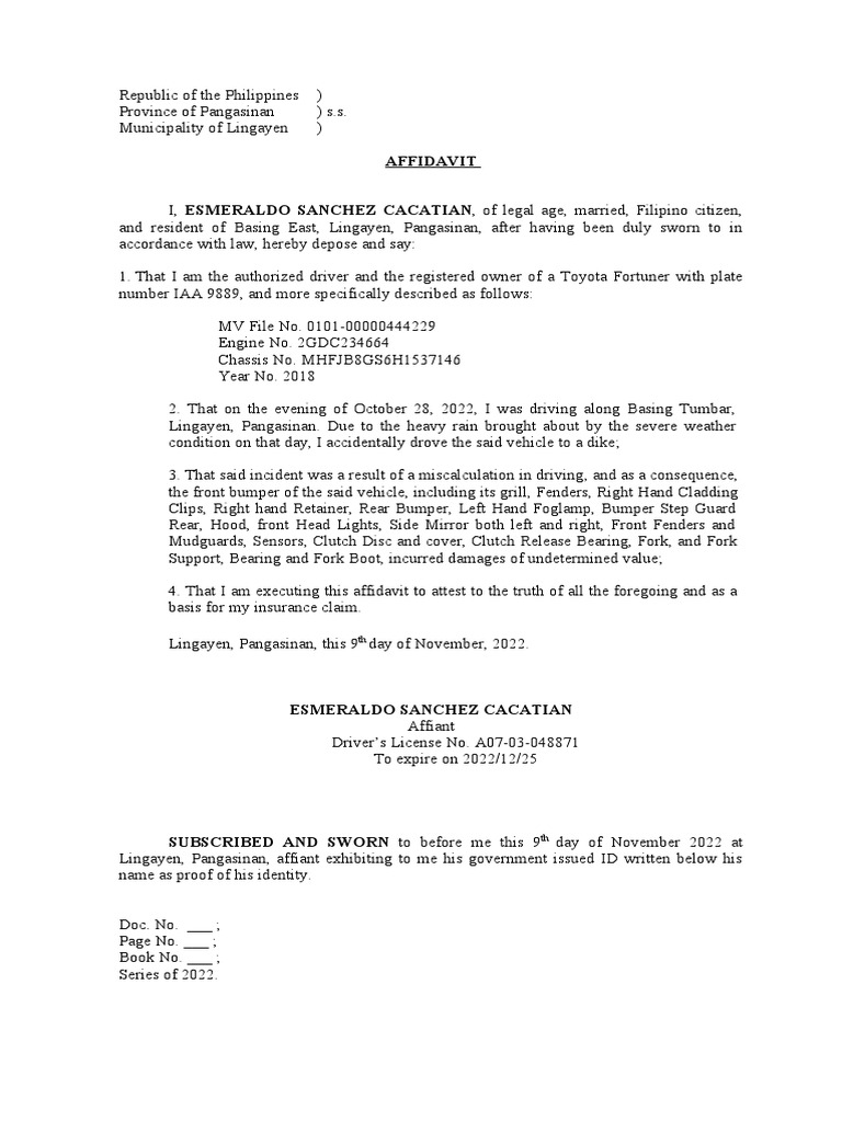 Driver's Affidavit of Esmeraldo | PDF