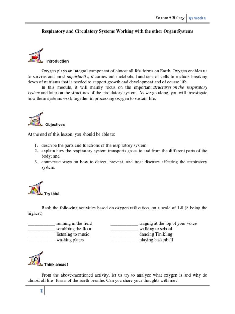 Week 1 Respiratory System | Download Free PDF | Respiratory Tract | Lung