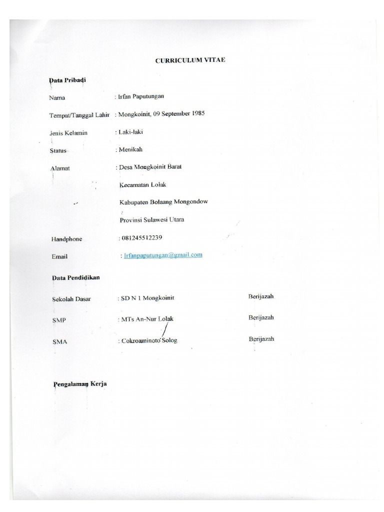 CV Irfan Paputungan | PDF