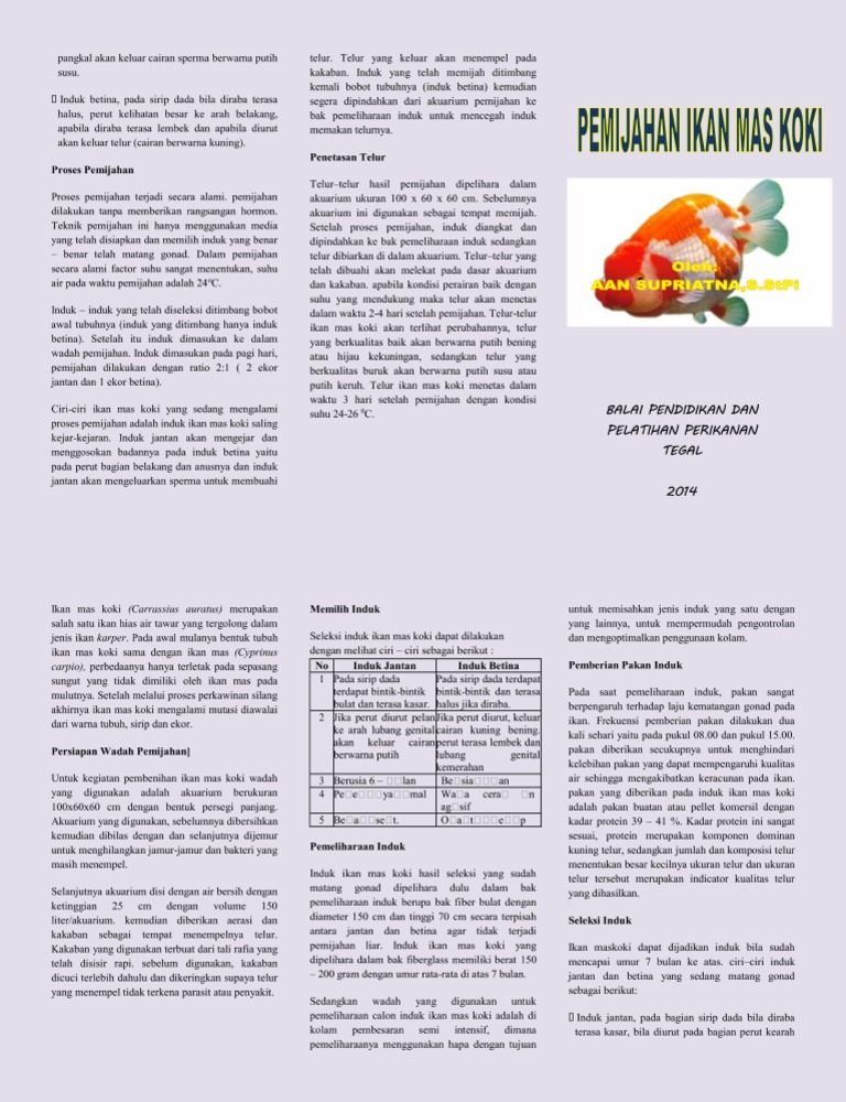 Pemijahan Ikan Mas Koki | PDF