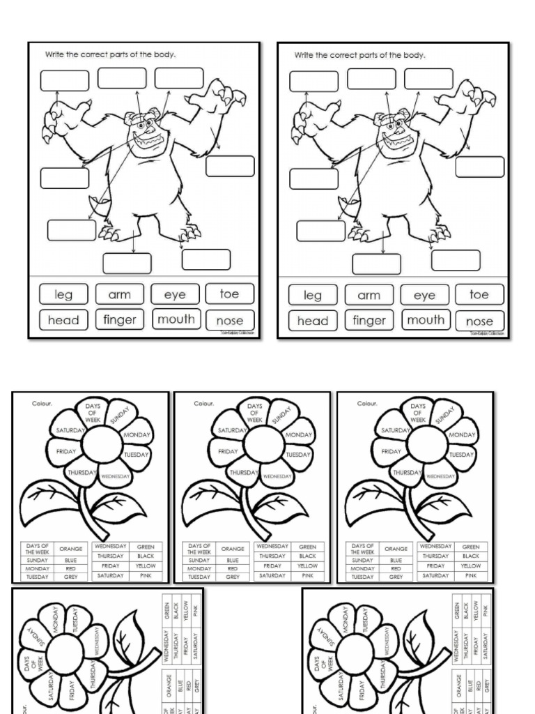 Year 2 Body Parts | PDF