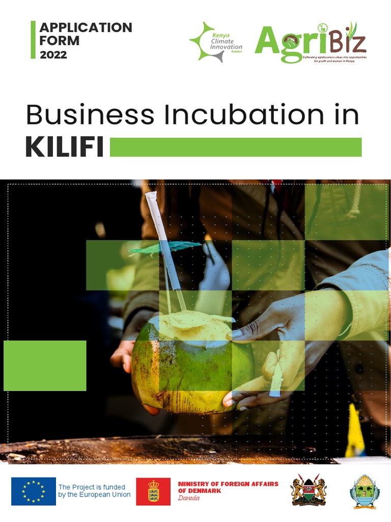 Kilifi Application Form 3 | PDF