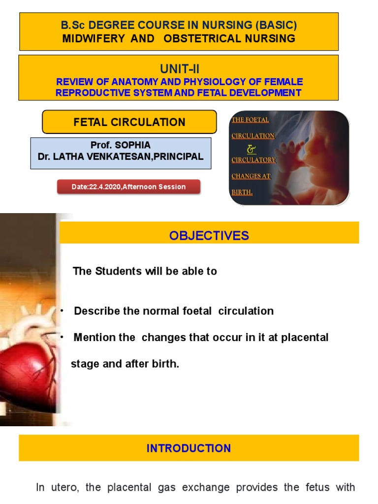 Fetal Circulation: Steps and Changes | PDF